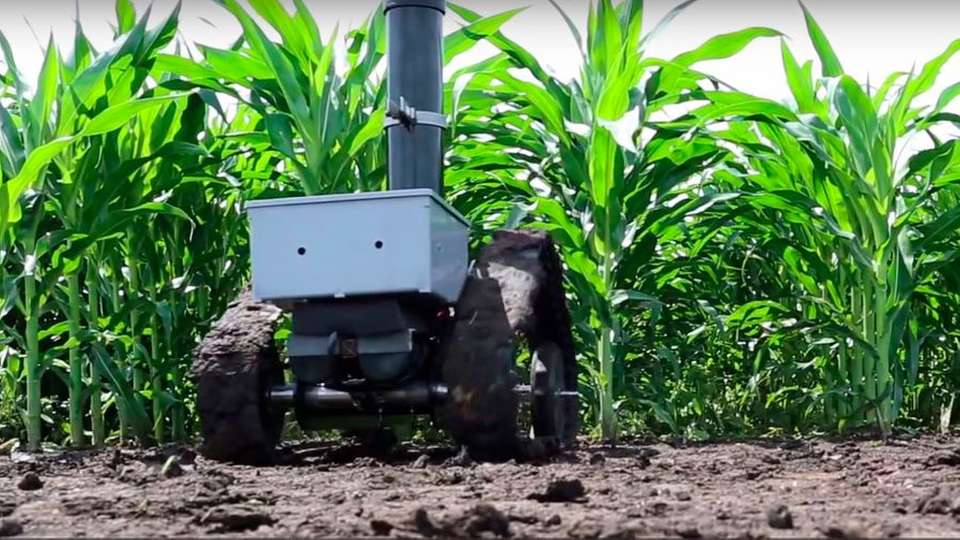 Ein Roboter, der Pflanzen zuhört