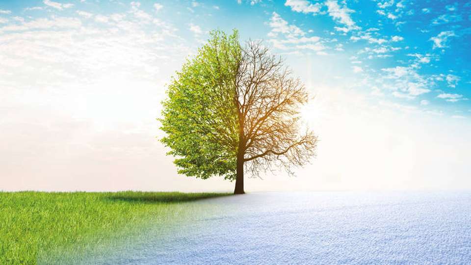 Der große Wandel am Display-Markt