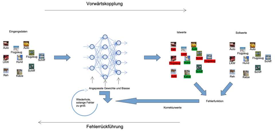 Das Training eines neuronales Netzes