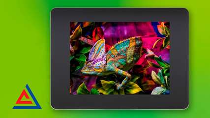 Plug&Play-Displays: kompakt, robust, smart.